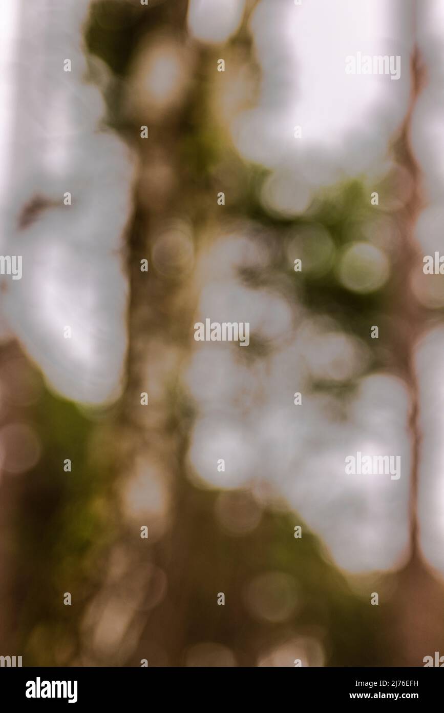 Abstract trees hi-res stock photography and images - Alamy