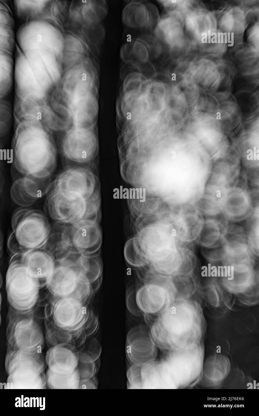 Abstract trees, nature, forest Stock Photo - Alamy