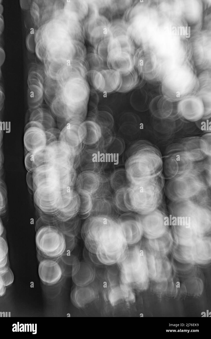 Abstract trees, nature, forest Stock Photo - Alamy