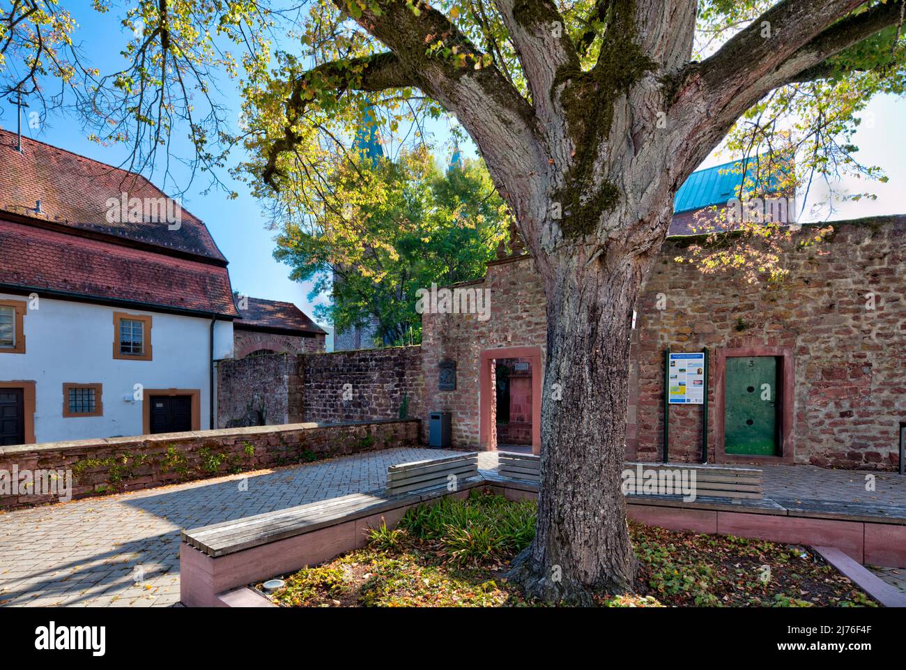 Carolingian mission center hi-res stock photography and images - Alamy