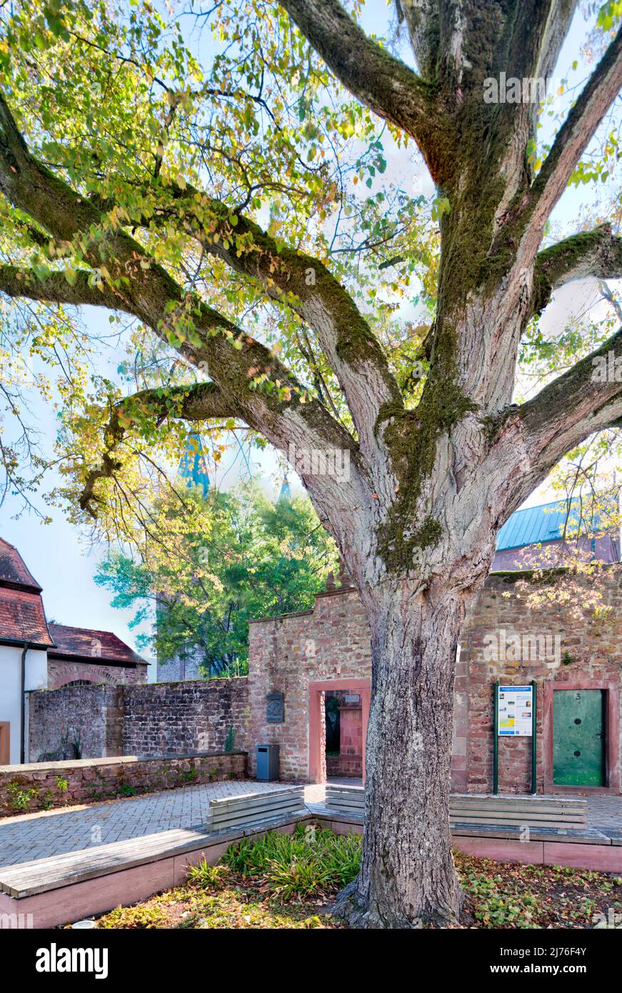 Carolingian mission center hi-res stock photography and images - Alamy