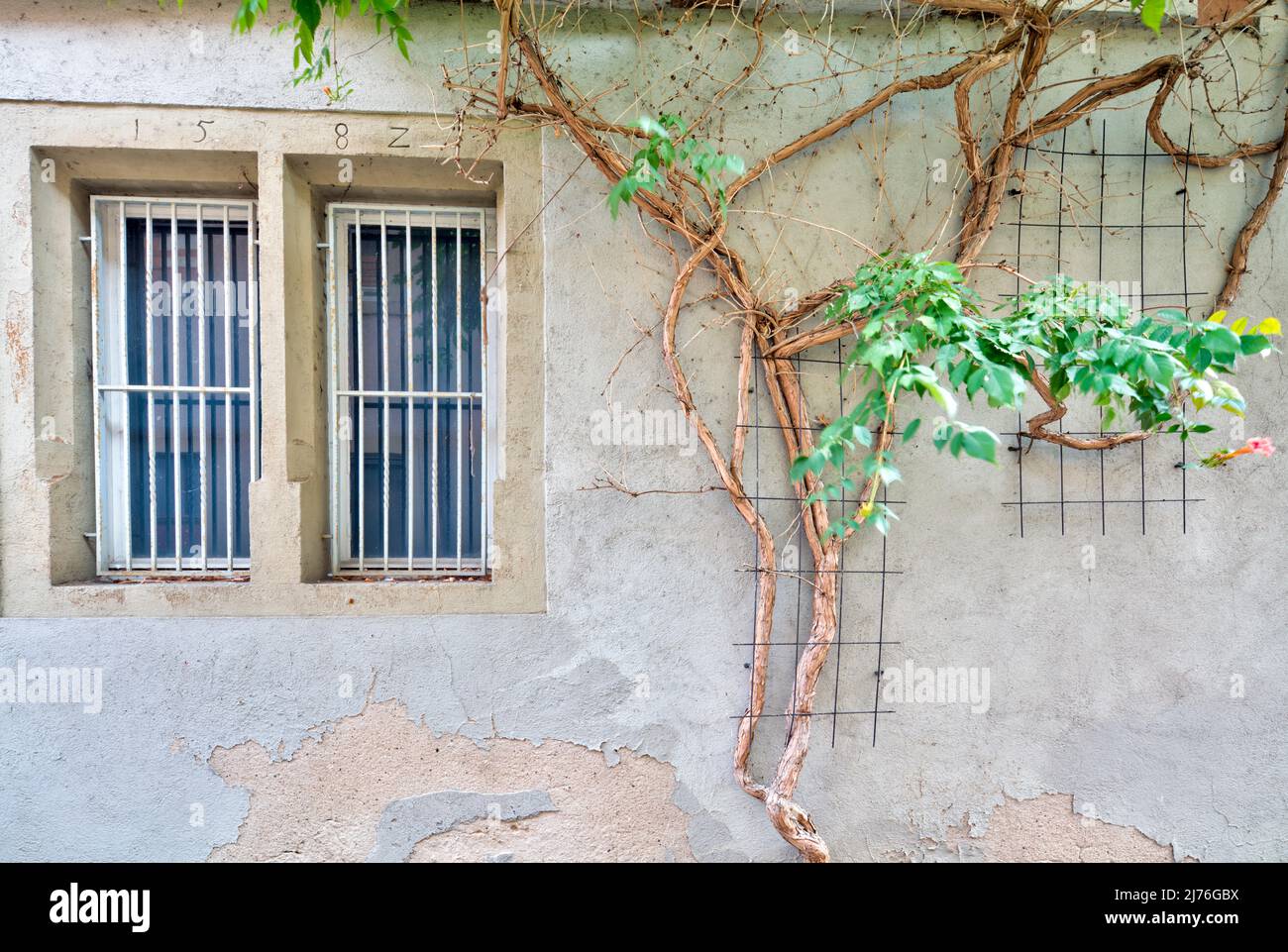 window, barred, house front, town view, autumn, Ochsenfurt, Franconia ...