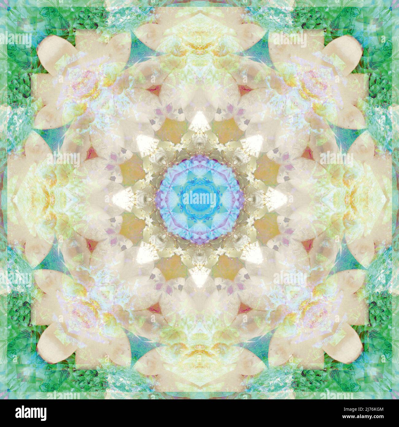 Composing flowers into a mandala ornament Stock Photo - Alamy