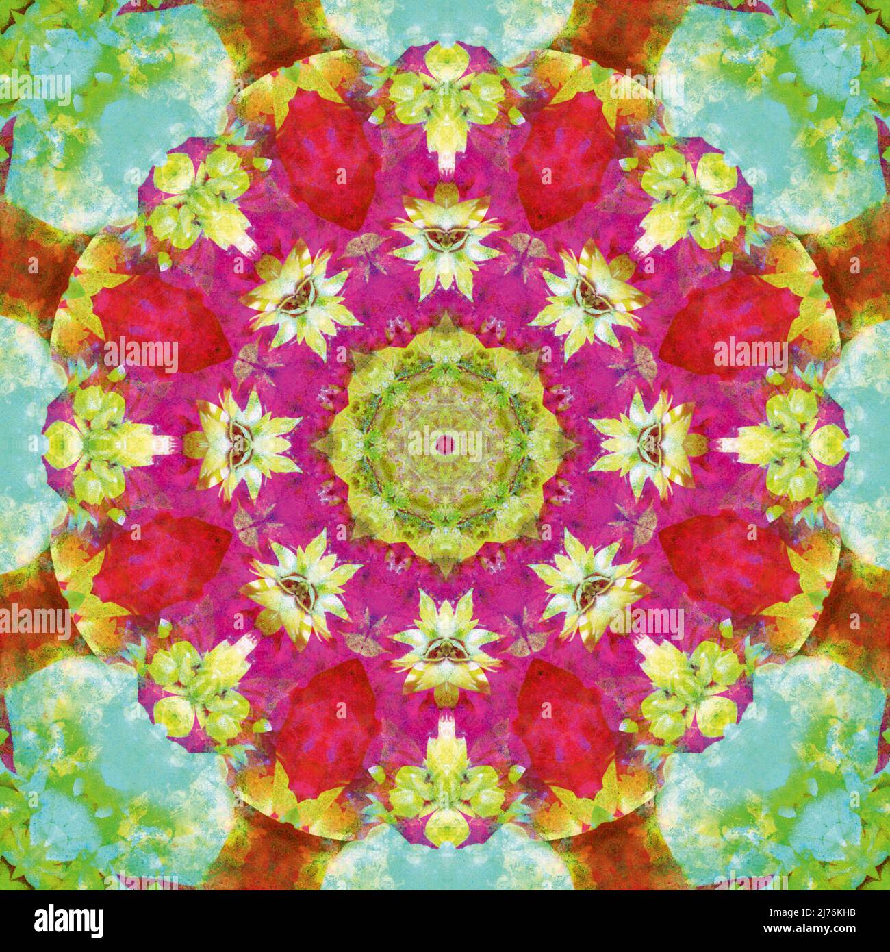 Composing flowers into a mandala ornament Stock Photo - Alamy