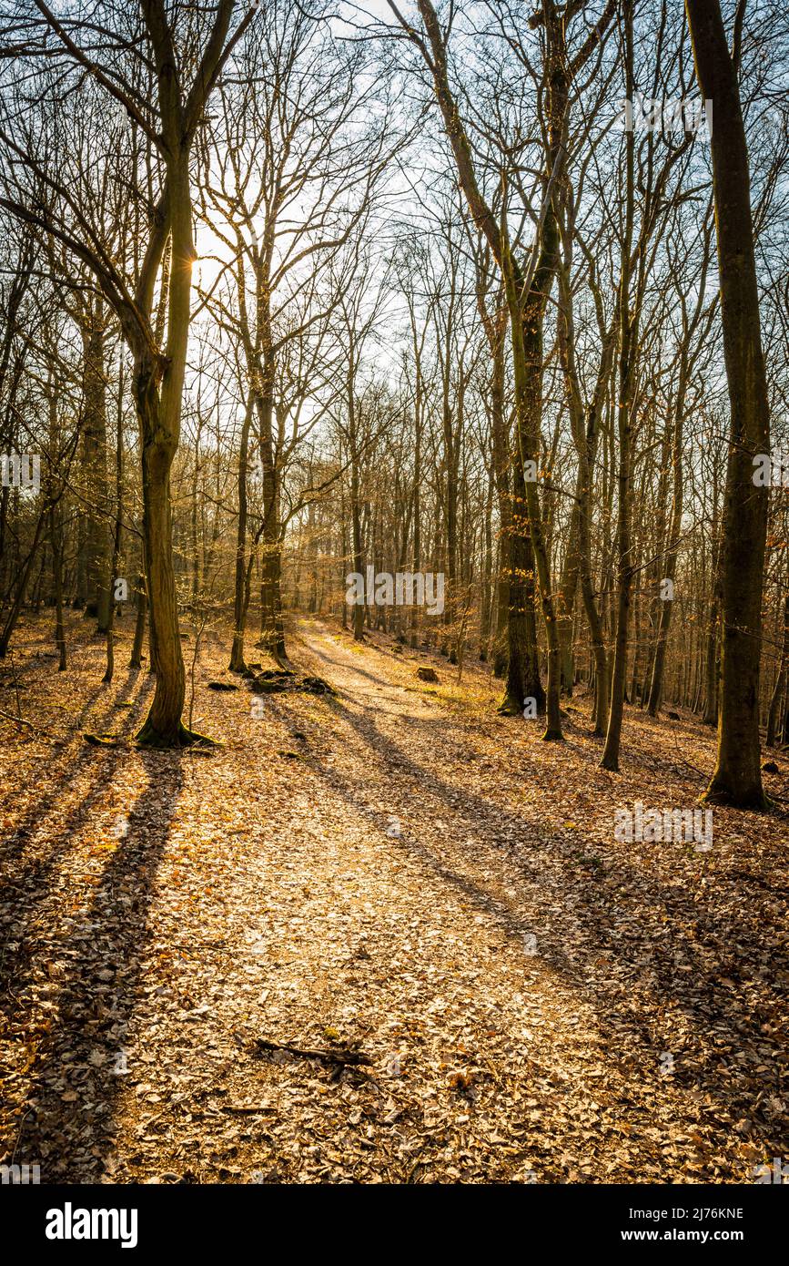 Spring in town hi-res stock photography and images - Alamy