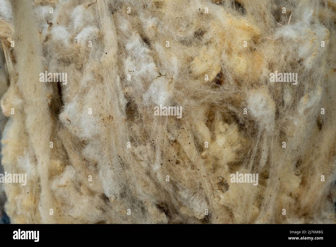 Natural warm color hi-res stock photography and images - Alamy