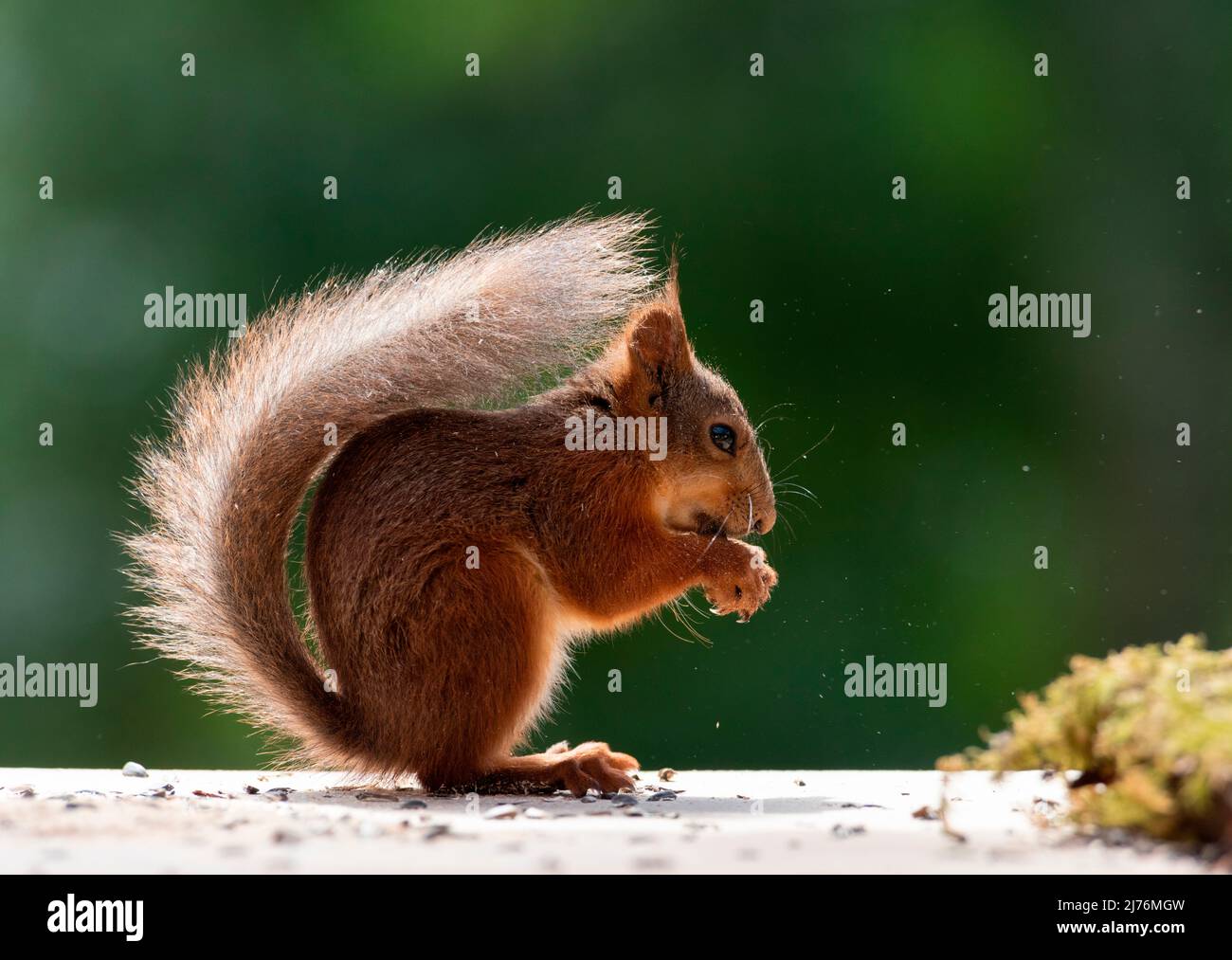 Dust place hi-res stock photography and images - Alamy