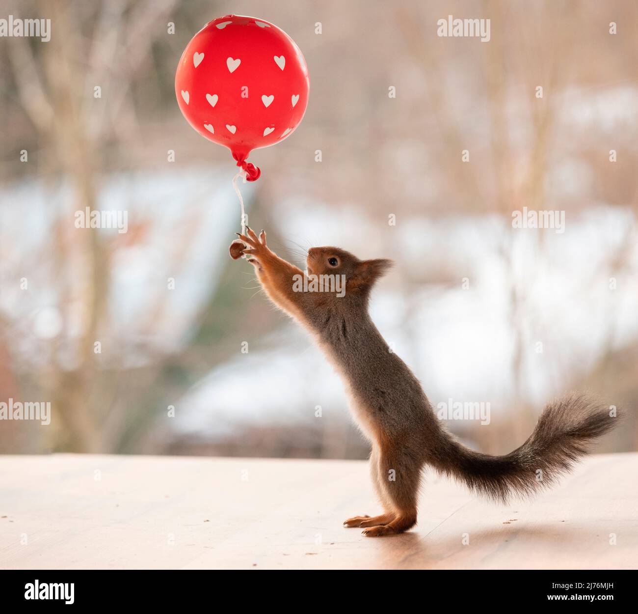 Balloon hearts hi-res stock photography and images - Alamy