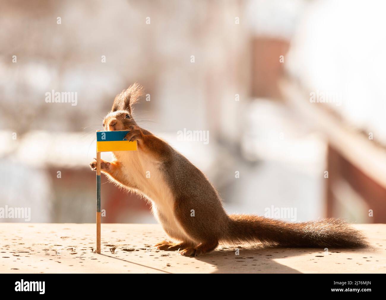 Standing on flag hi-res stock photography and images - Alamy