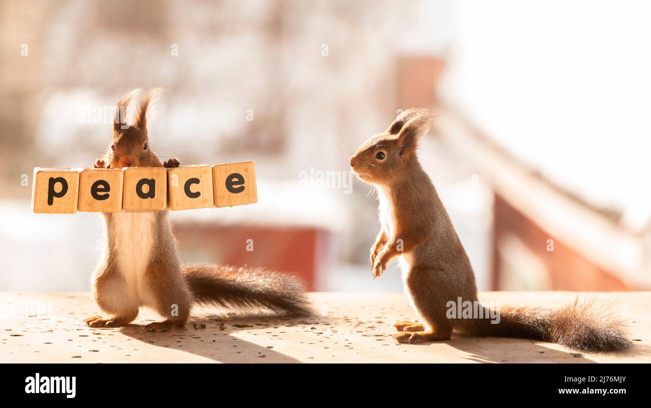 Letter blocks hi-res stock photography and images - Alamy