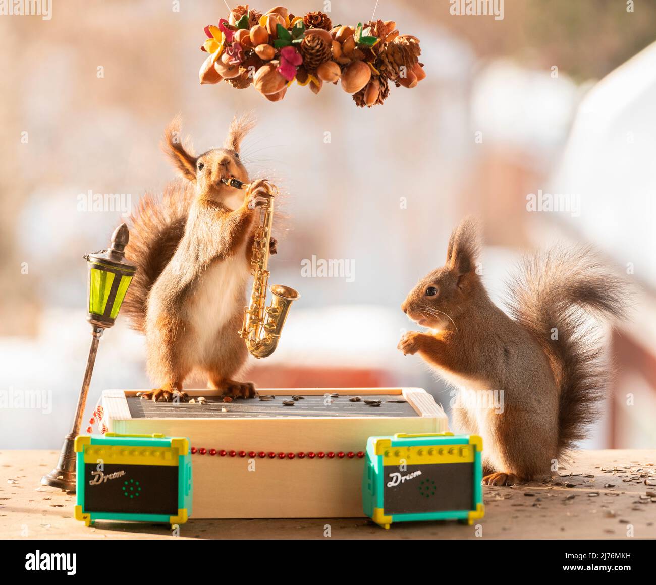 Red squirrel is holding an saxophone hi-res stock photography and ...