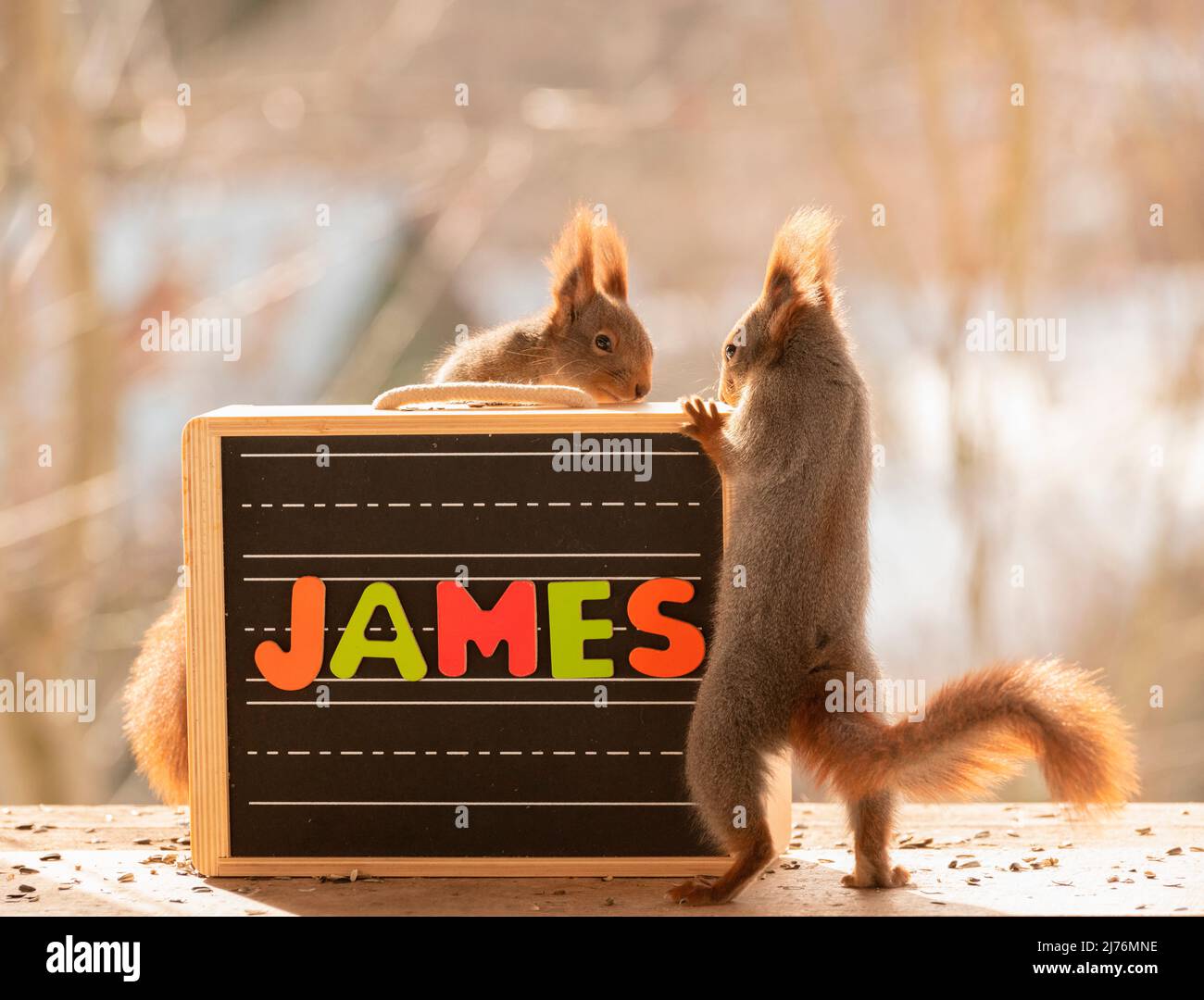 James word hi-res stock photography and images - Alamy