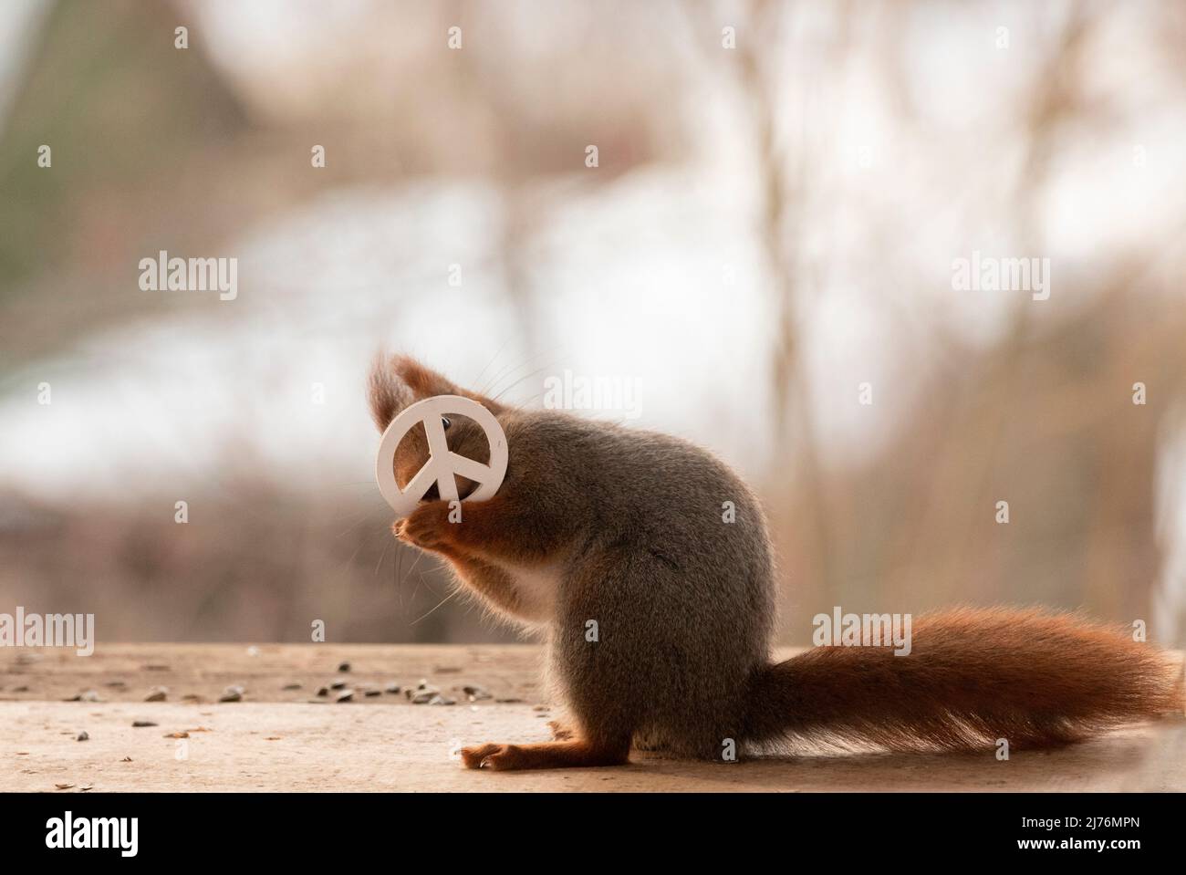 Holding symbol hi-res stock photography and images - Alamy