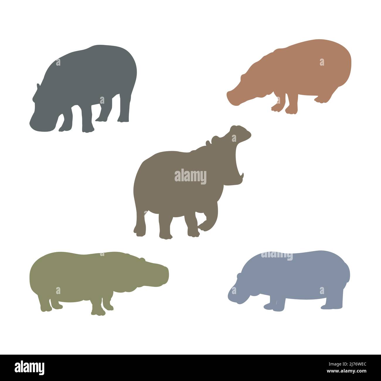 Colorful Hippopotamus Icons Set Stock Vector Image & Art - Alamy