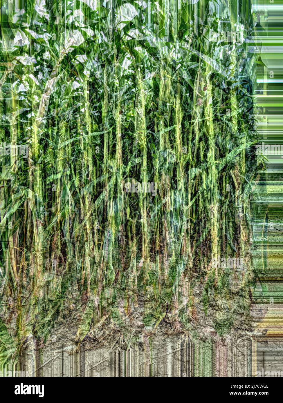 Error using hi-res stock photography and images - Alamy