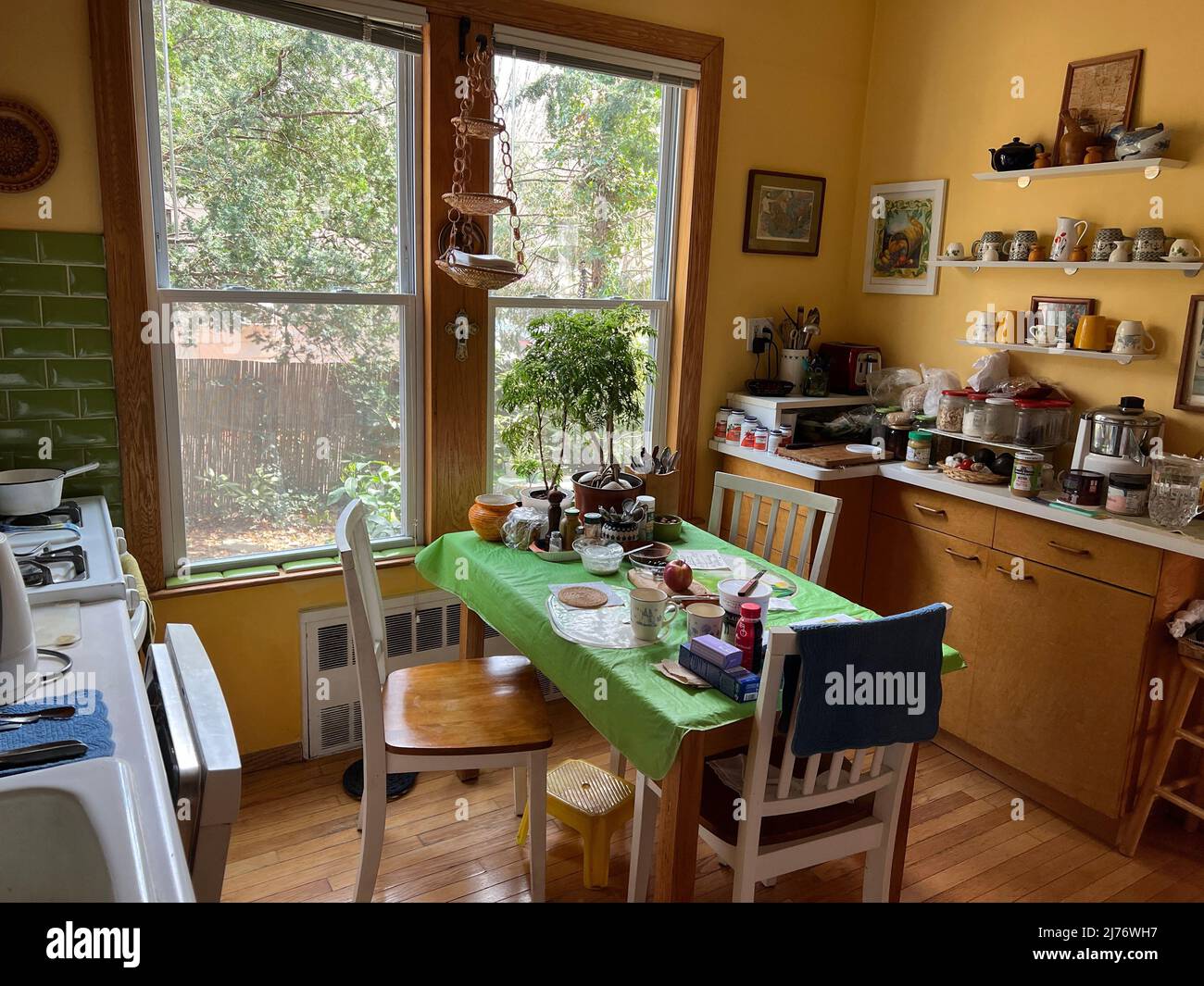 Naturally lit kitchen by morning light in a house in Brooklyn, New York ...