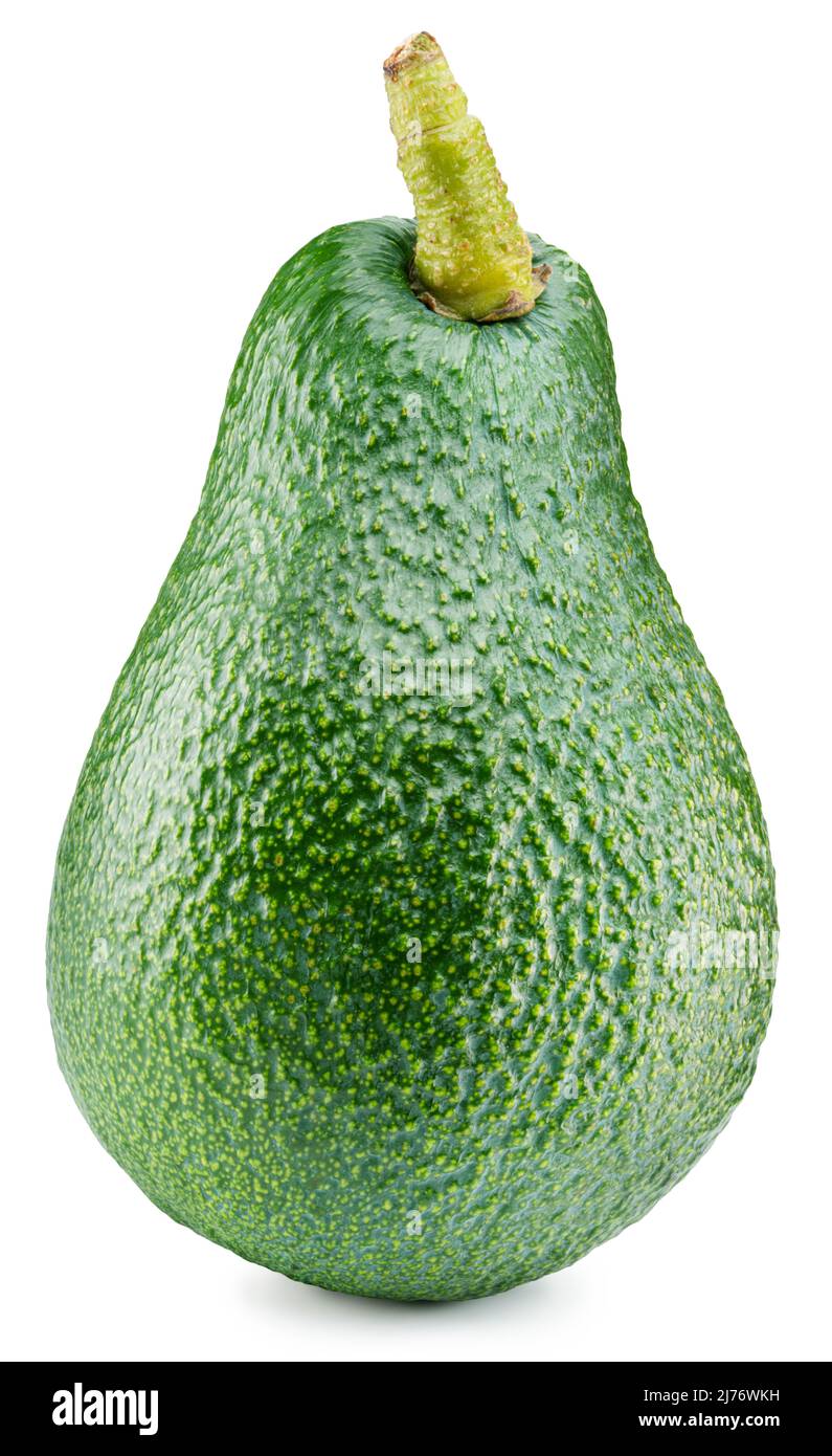Large green avocado on white background. File contains clipping path ...