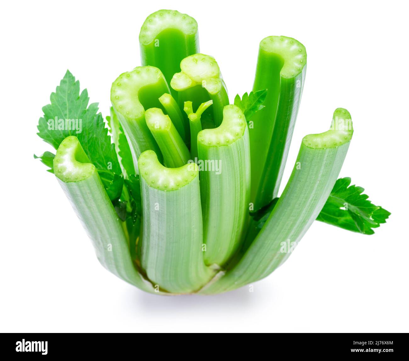 Fresh celery stalk isolated on white background Stock Photo - Alamy