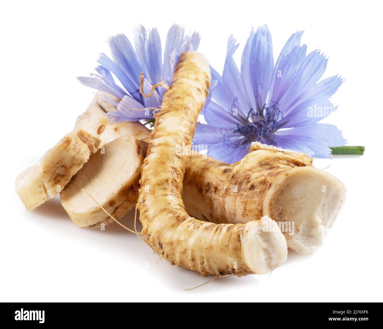 Chicory flowers and roots close up on the white background Stock Photo ...