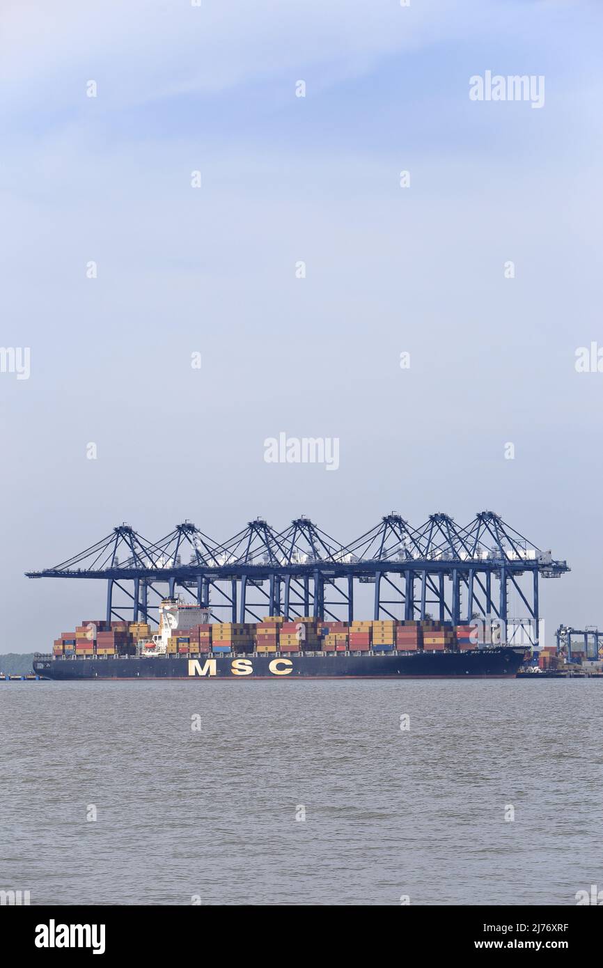 Msc stella container ship hi-res stock photography and images - Alamy