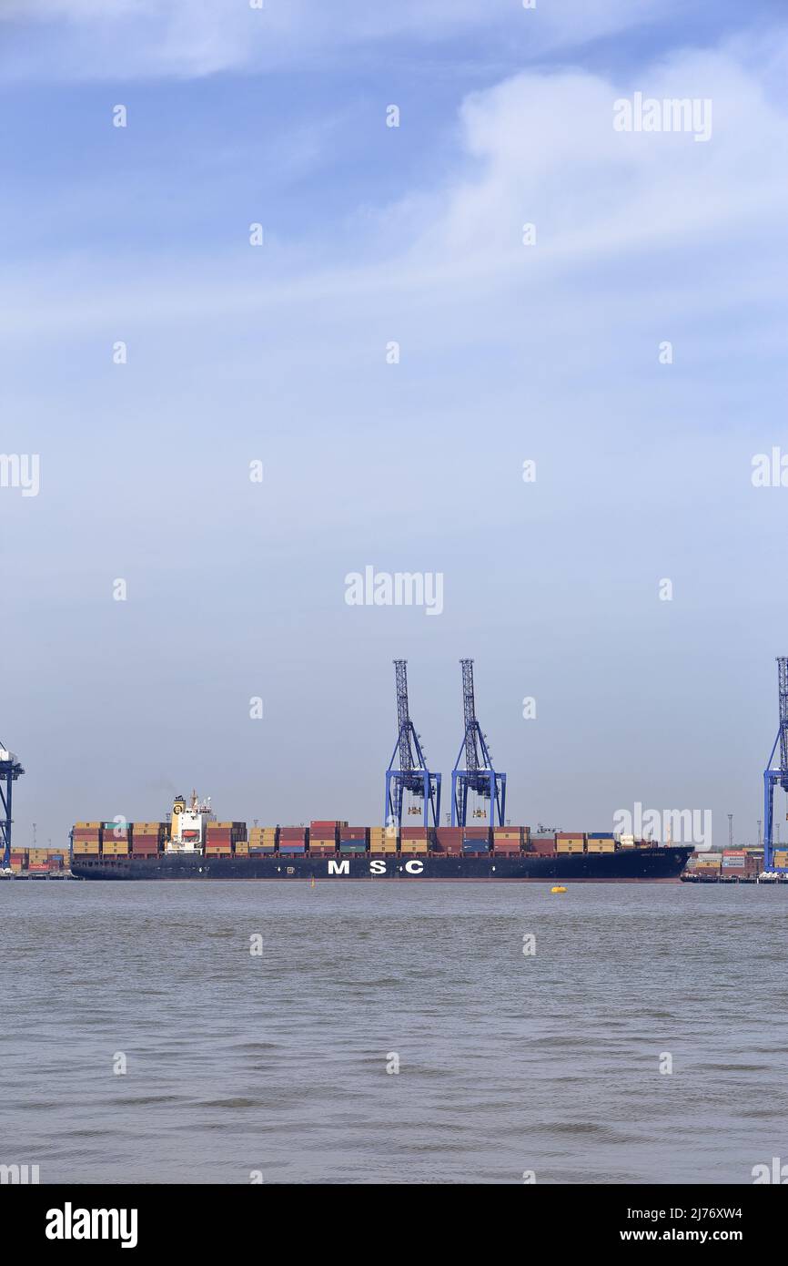 Container ship MSC Sarah docked at the Port of Felixstowe, Suffolk, UK ...