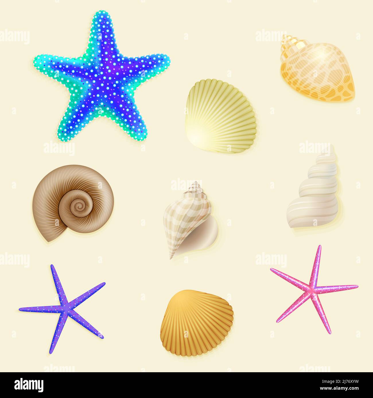 Colorful Sea Creatures Stock Vector Image & Art - Alamy