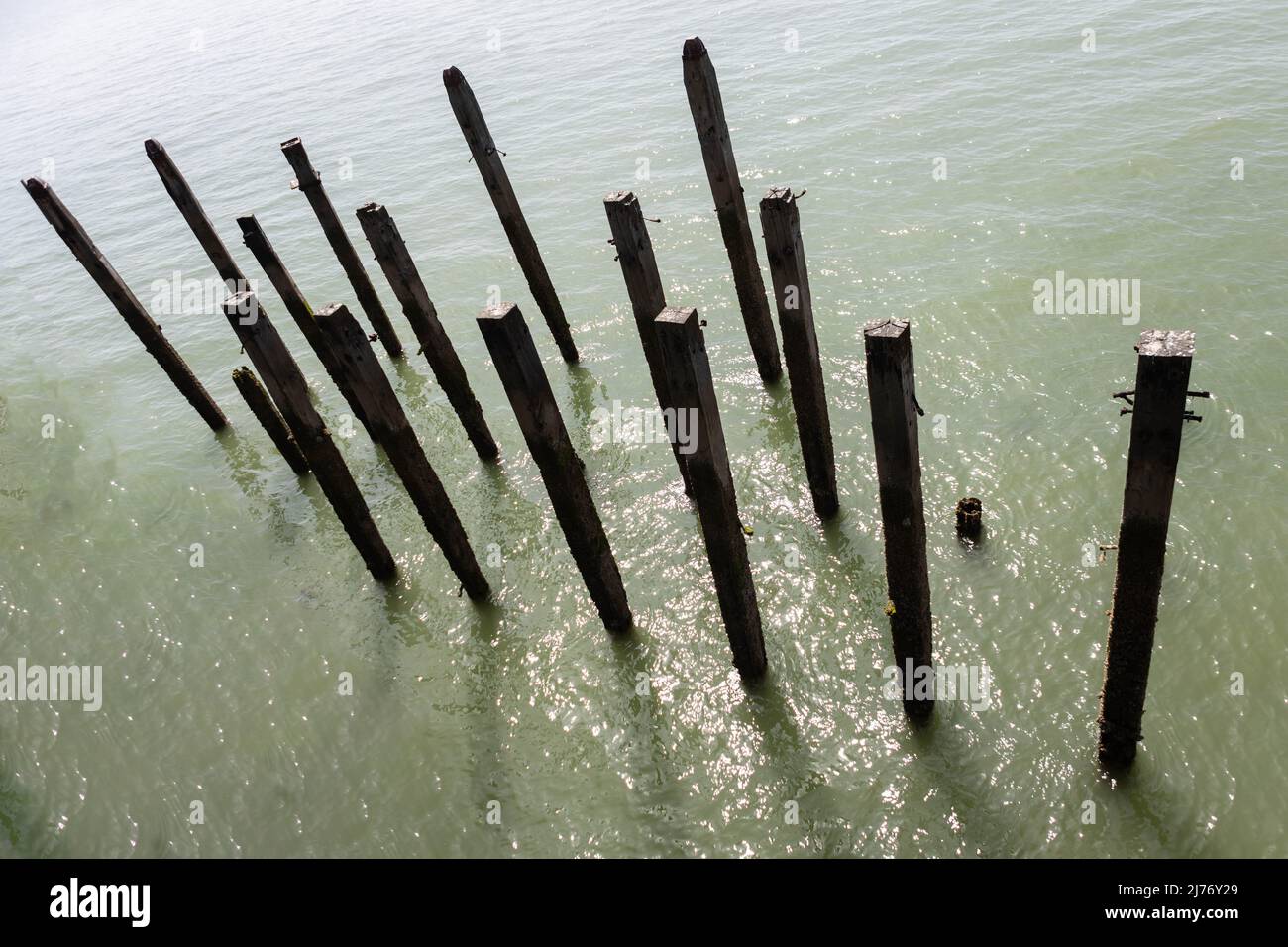 Wooden posts under the pier hi-res stock photography and images - Alamy