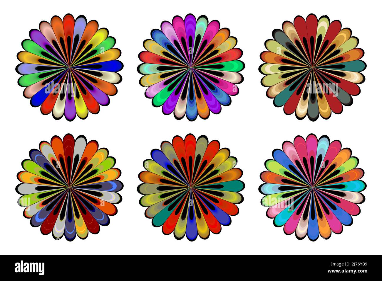 6 petal flower hi-res stock photography and images - Alamy