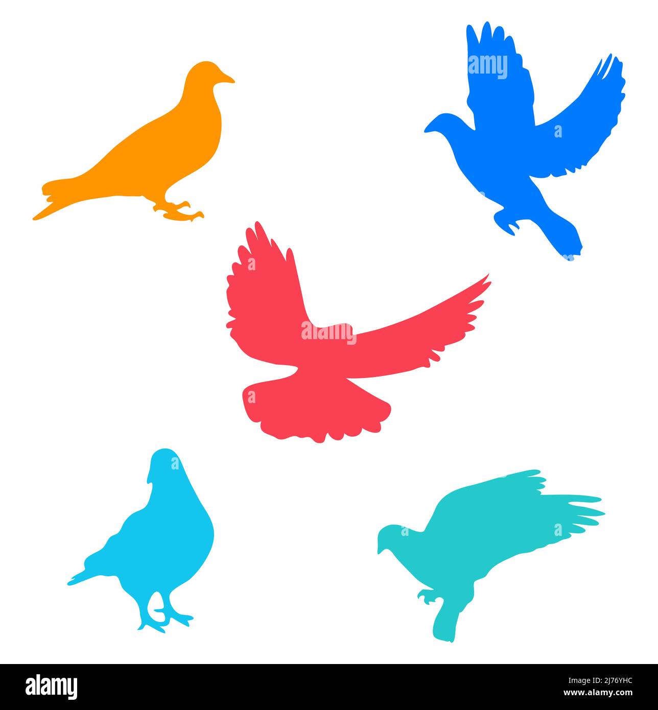 Blue pigeon Stock Vector Images - Alamy