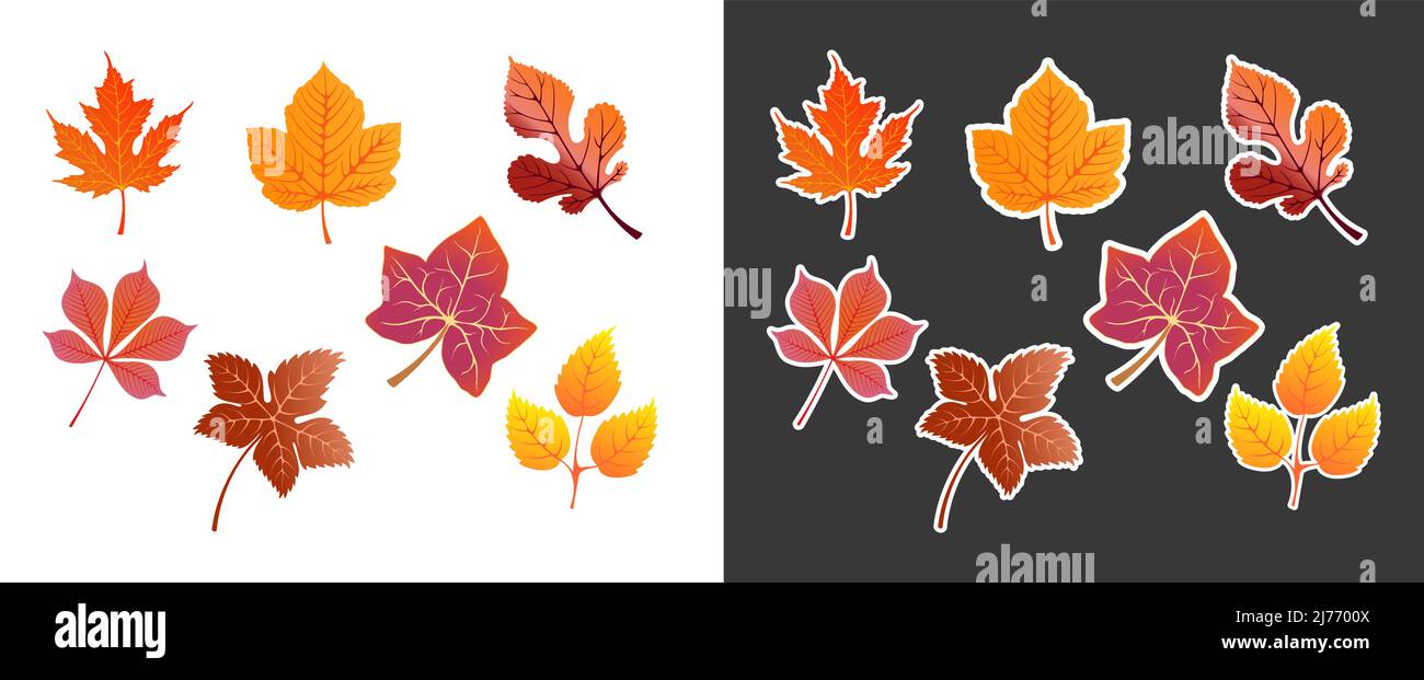 Colorful maple leaf Stock Vector Images - Alamy