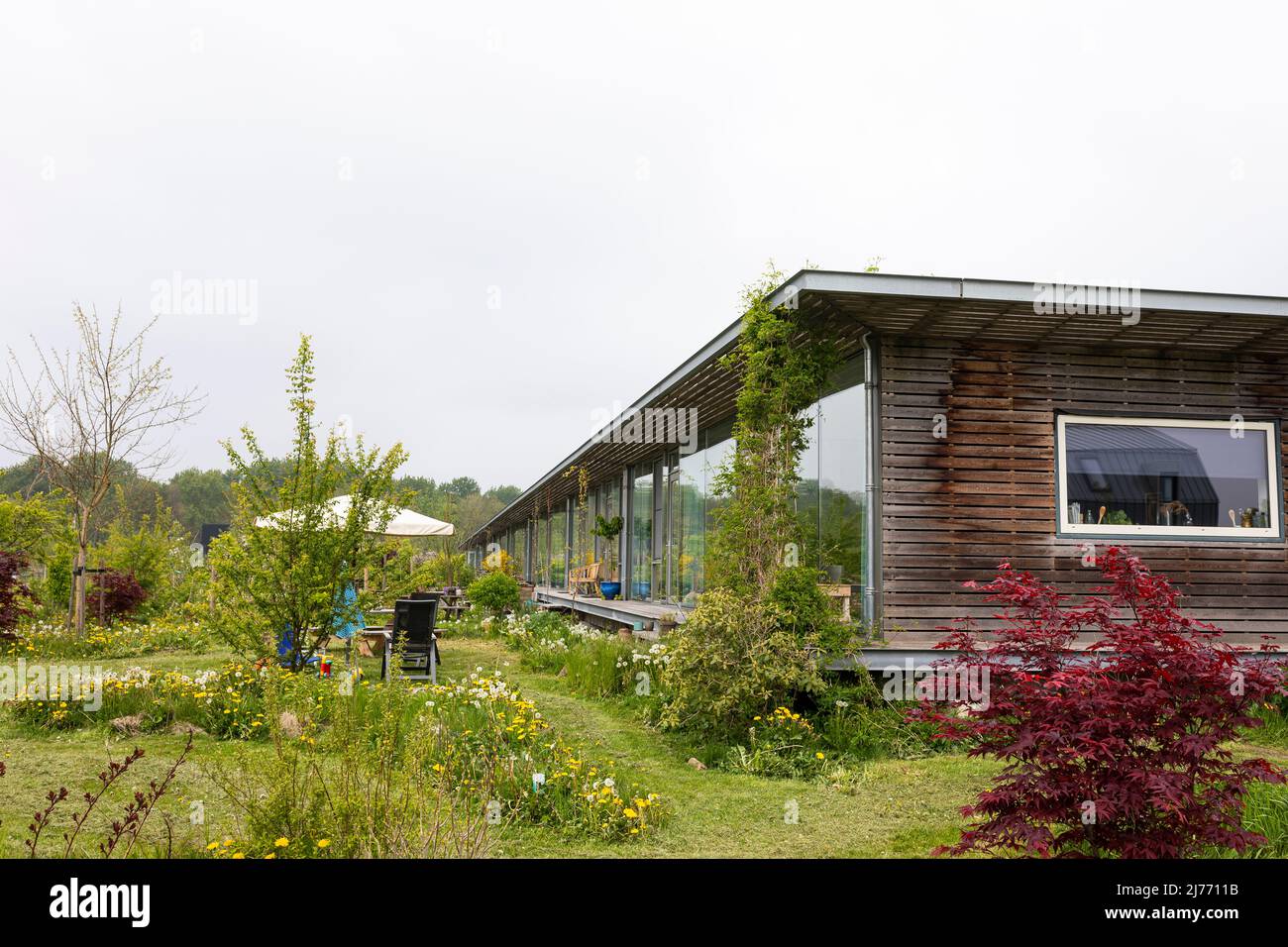 Eco friendly houses in eco-village Oosterwold Almere in the ...