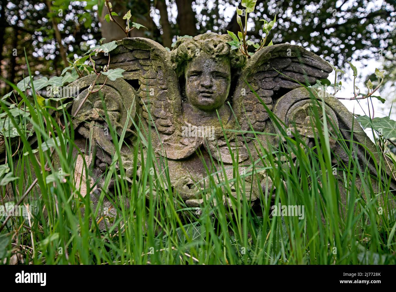 A winged soul, part of a fallen monument in a neglected cemetery in ...