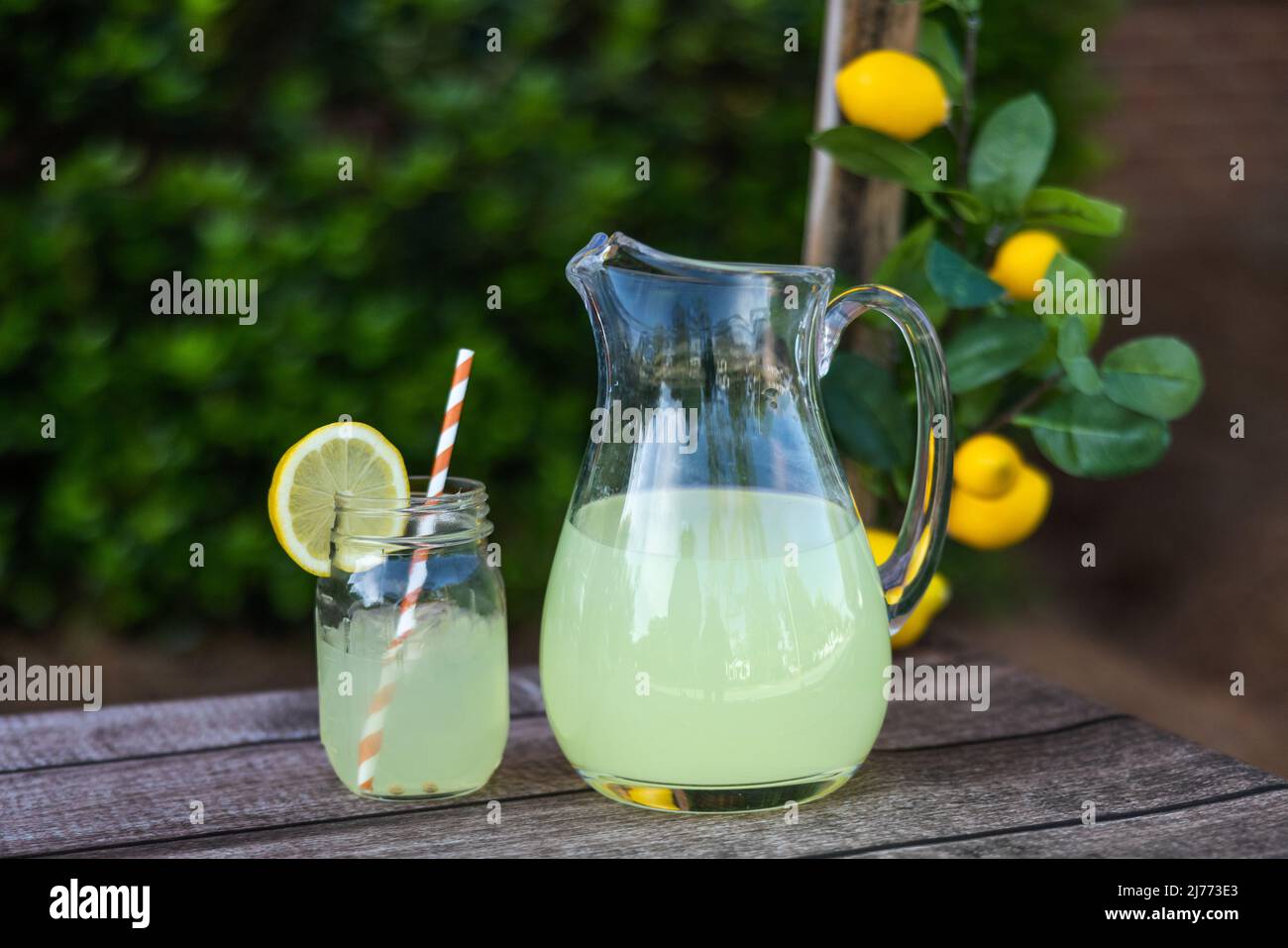 A rustic vintage jar of fresh homemade lemonade with some sliced and ...