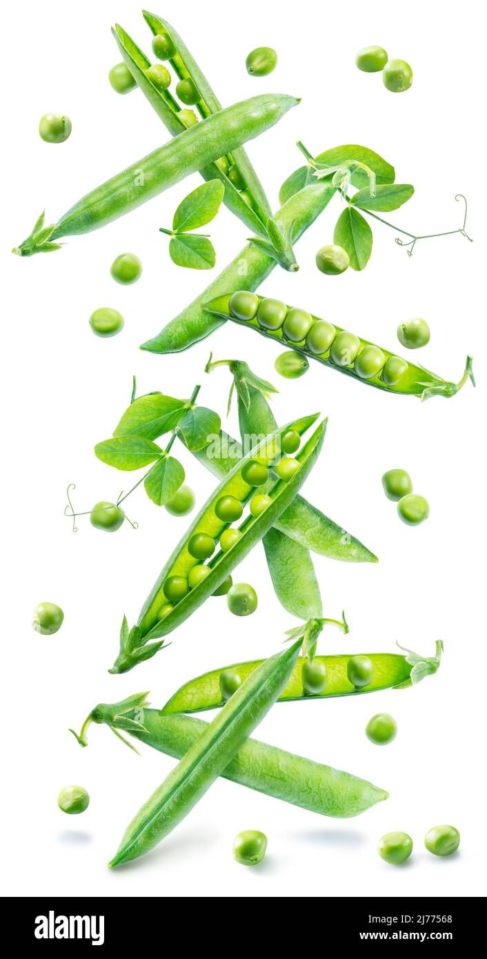 Levitation of green peas. Peas and pea pod falling down isolated on ...