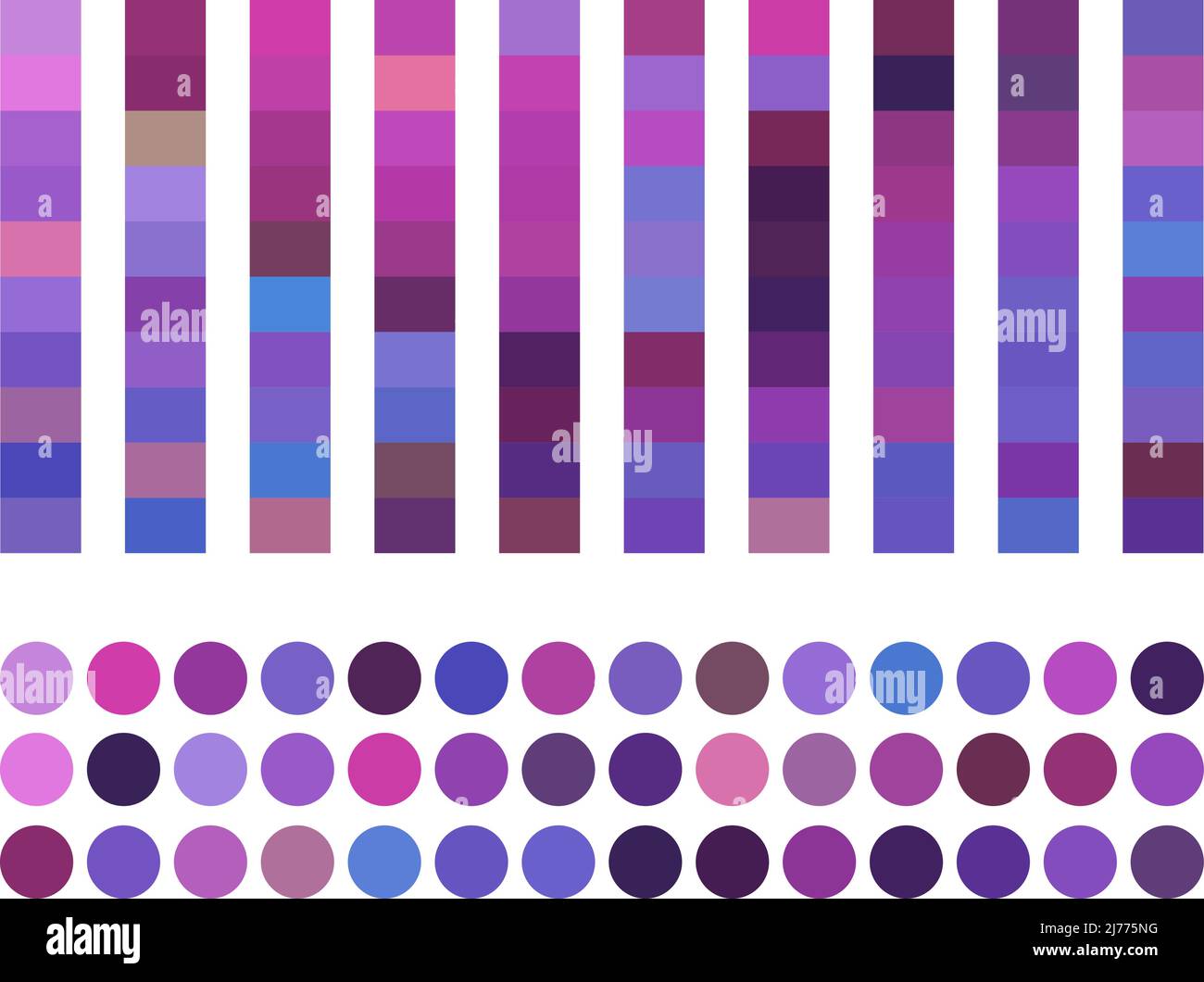 Lilac And Purple Colour