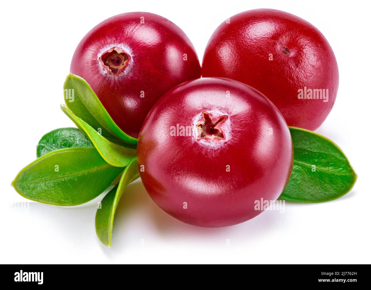 Ripe red cranberries with green leaves on white background. Close-up ...
