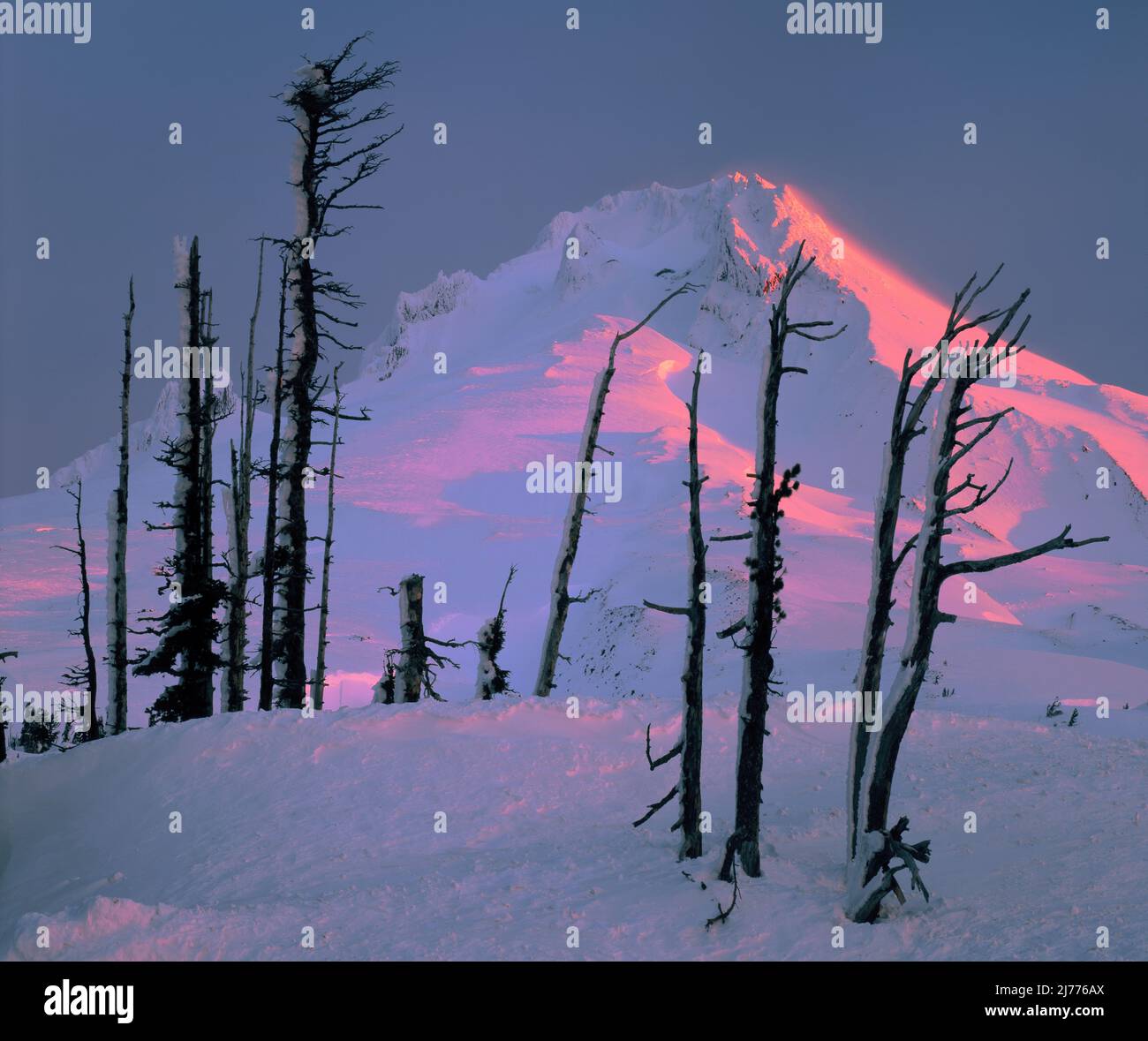 Winter sunrise on Mt. Hood, Oregon Stock Photo - Alamy