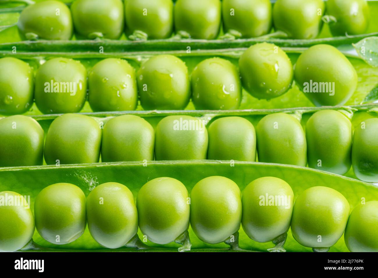 Rows of perfect green peas in pod isolated on white background Stock ...