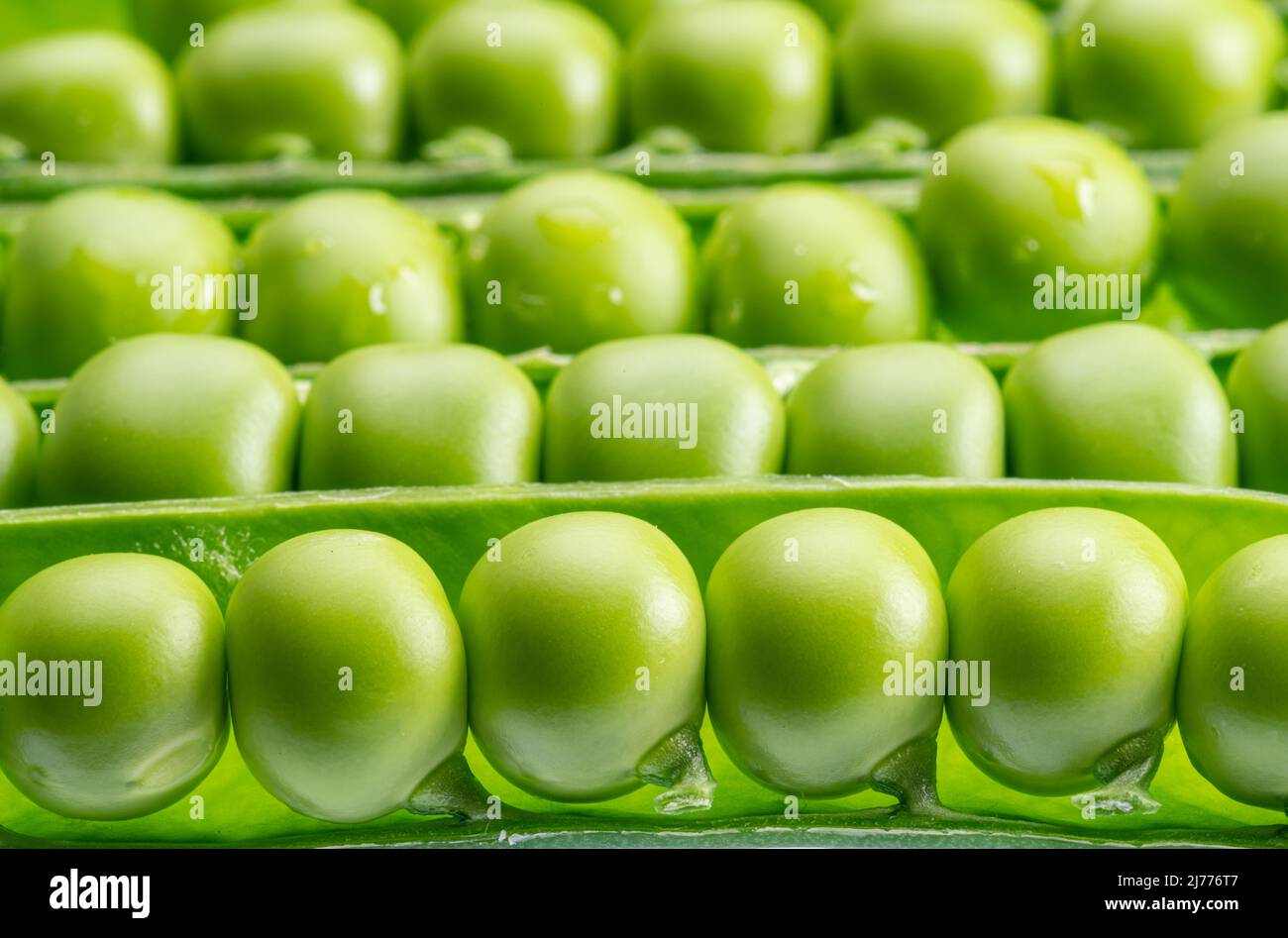 Rows of perfect green peas in pod close-up. Food background Stock Photo ...