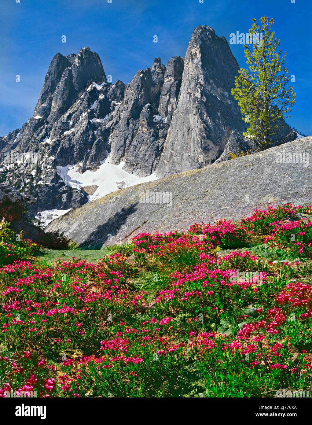 Liberty bell mountains hi-res stock photography and images - Alamy