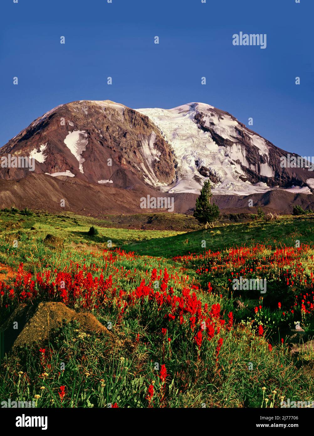 Mt adams washington hi-res stock photography and images - Alamy