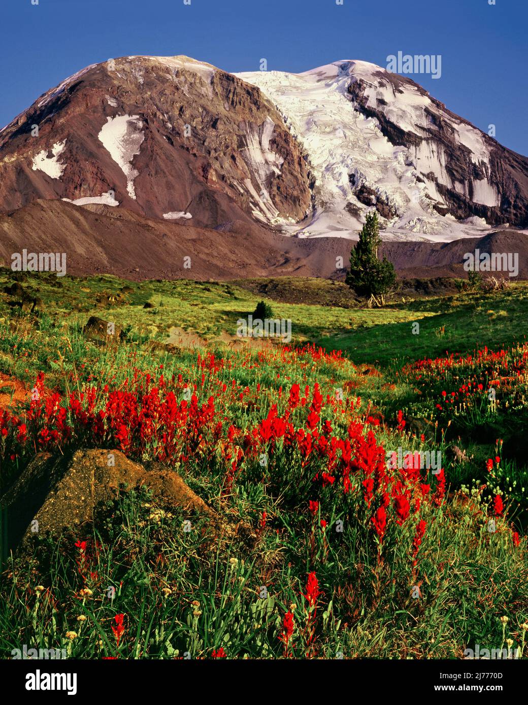Mt adams wlderness hi-res stock photography and images - Alamy