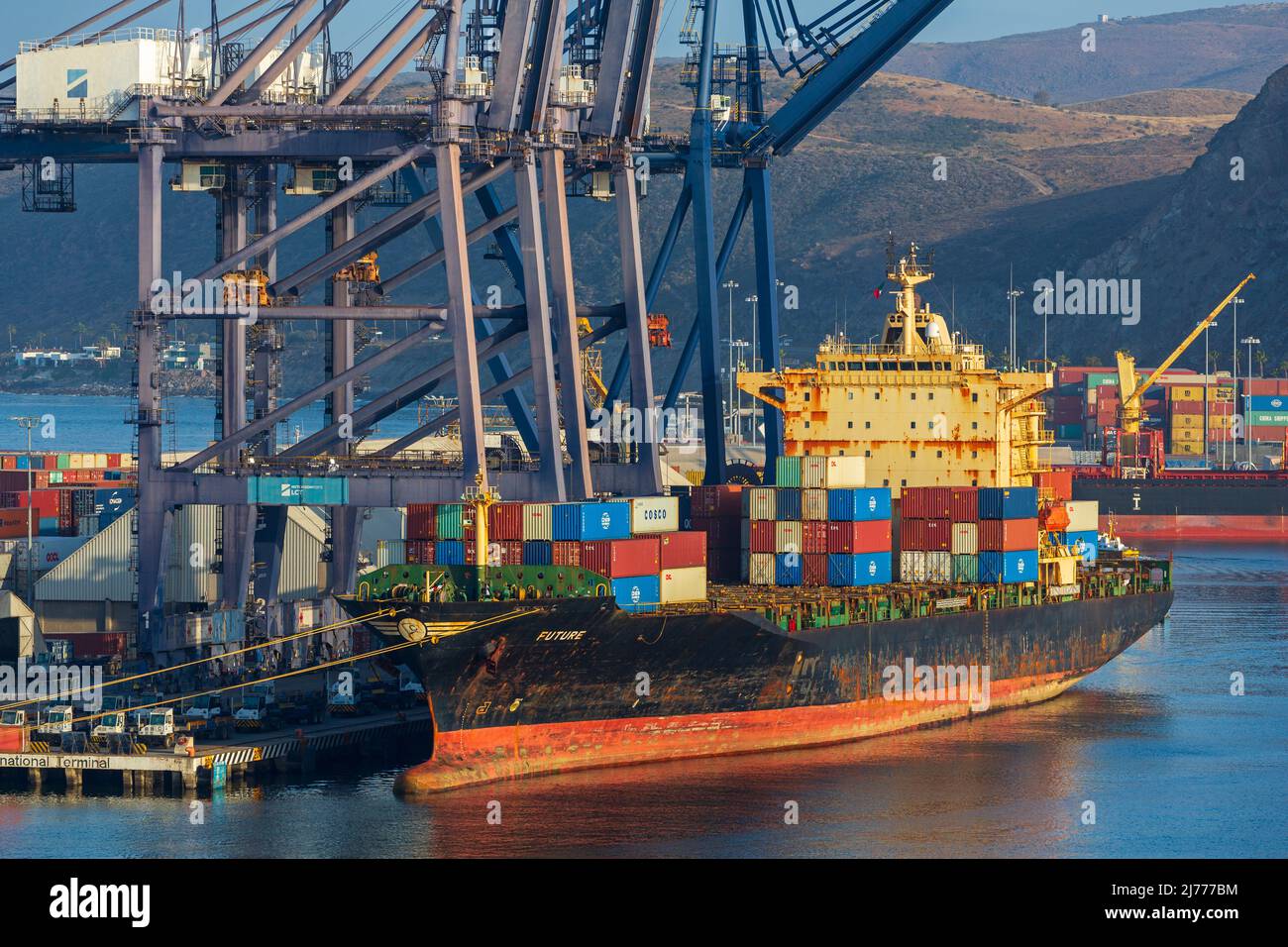 Container ship Future, Ensenada International Conatainer Terminal, Baja ...