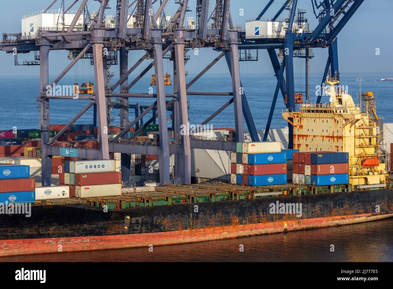 Container ship Future, Ensenada International Conatainer Terminal, Baja ...