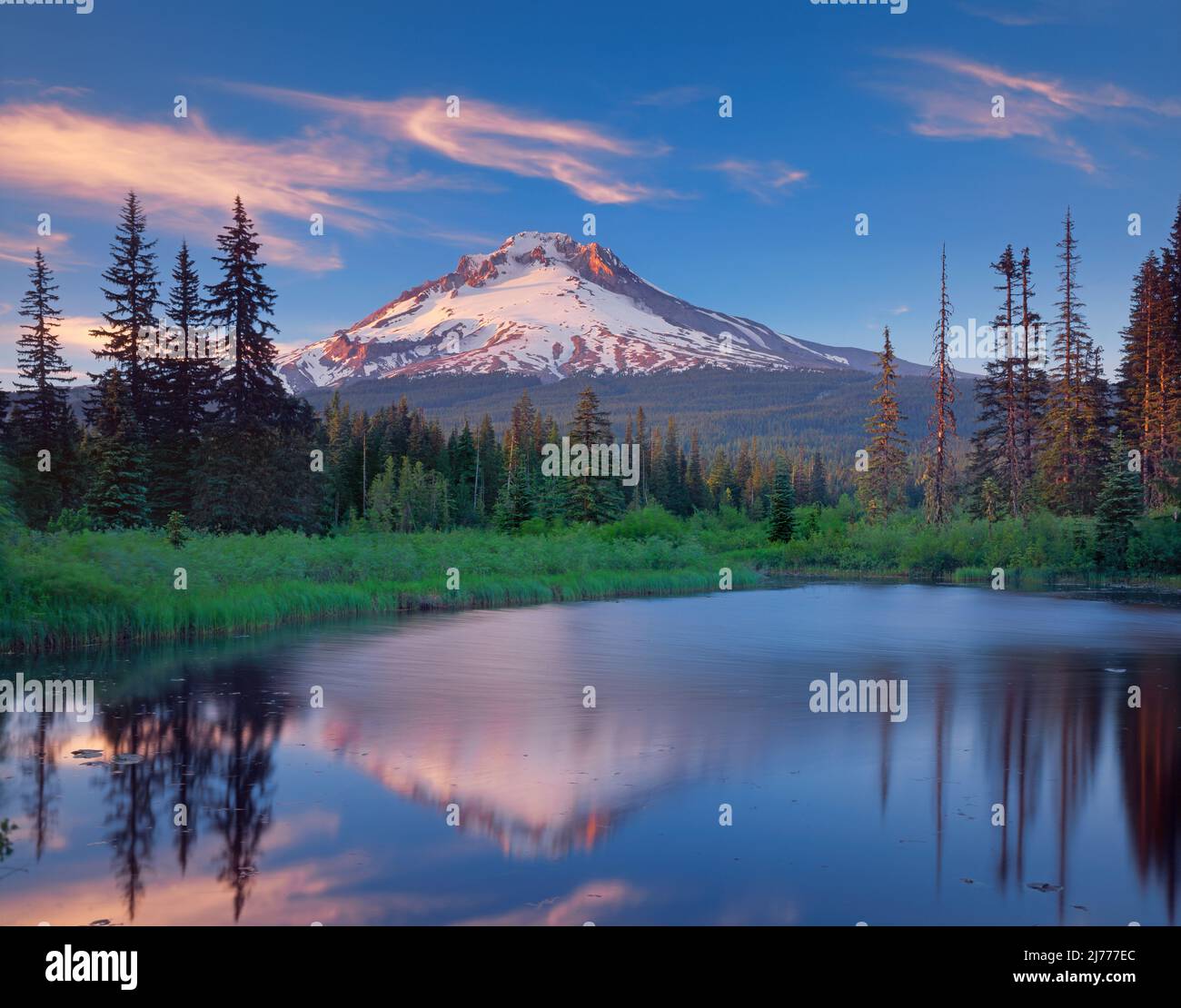 Multopor pond hi-res stock photography and images - Alamy