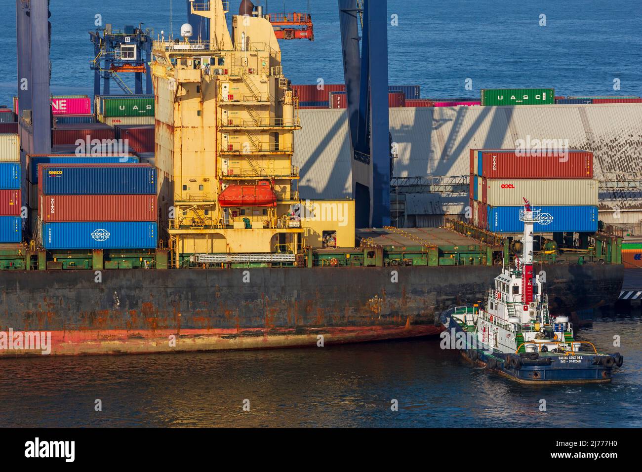Container ship Future, Ensenada International Conatainer Terminal, Baja ...
