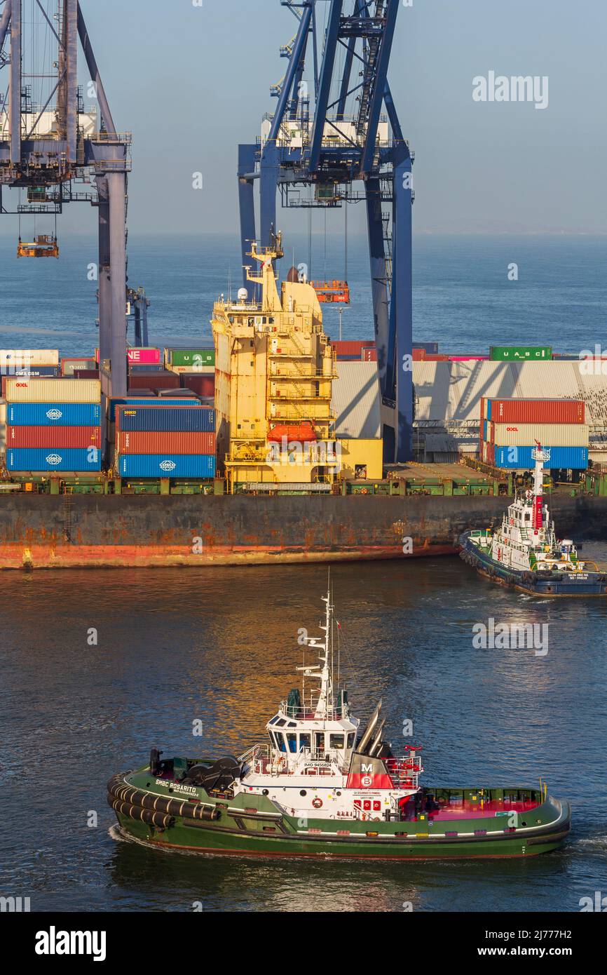 Container ship Future, Ensenada International Conatainer Terminal, Baja ...