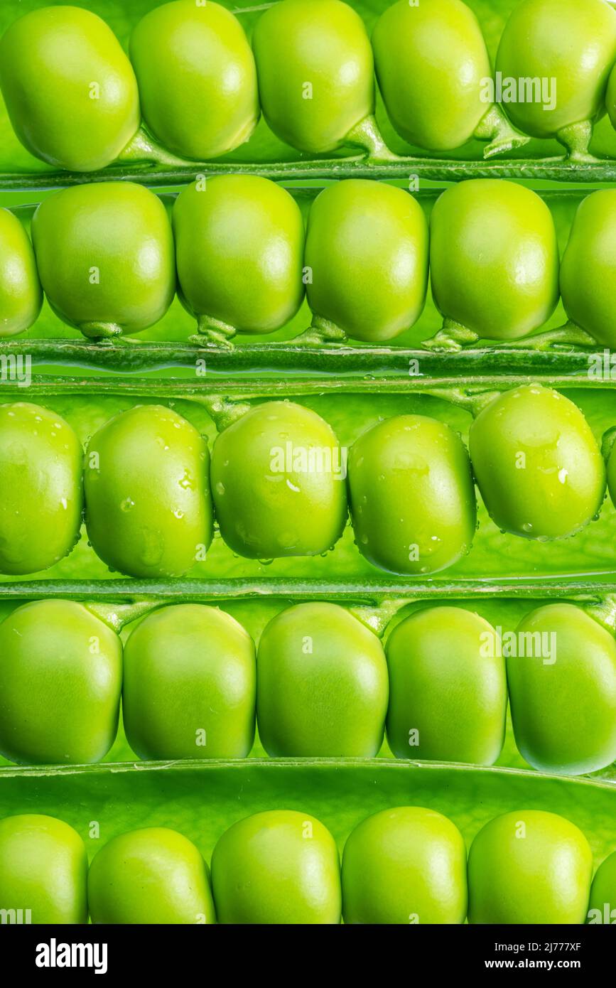Rows of perfect green peas in pod close-up. Food pea background Stock ...