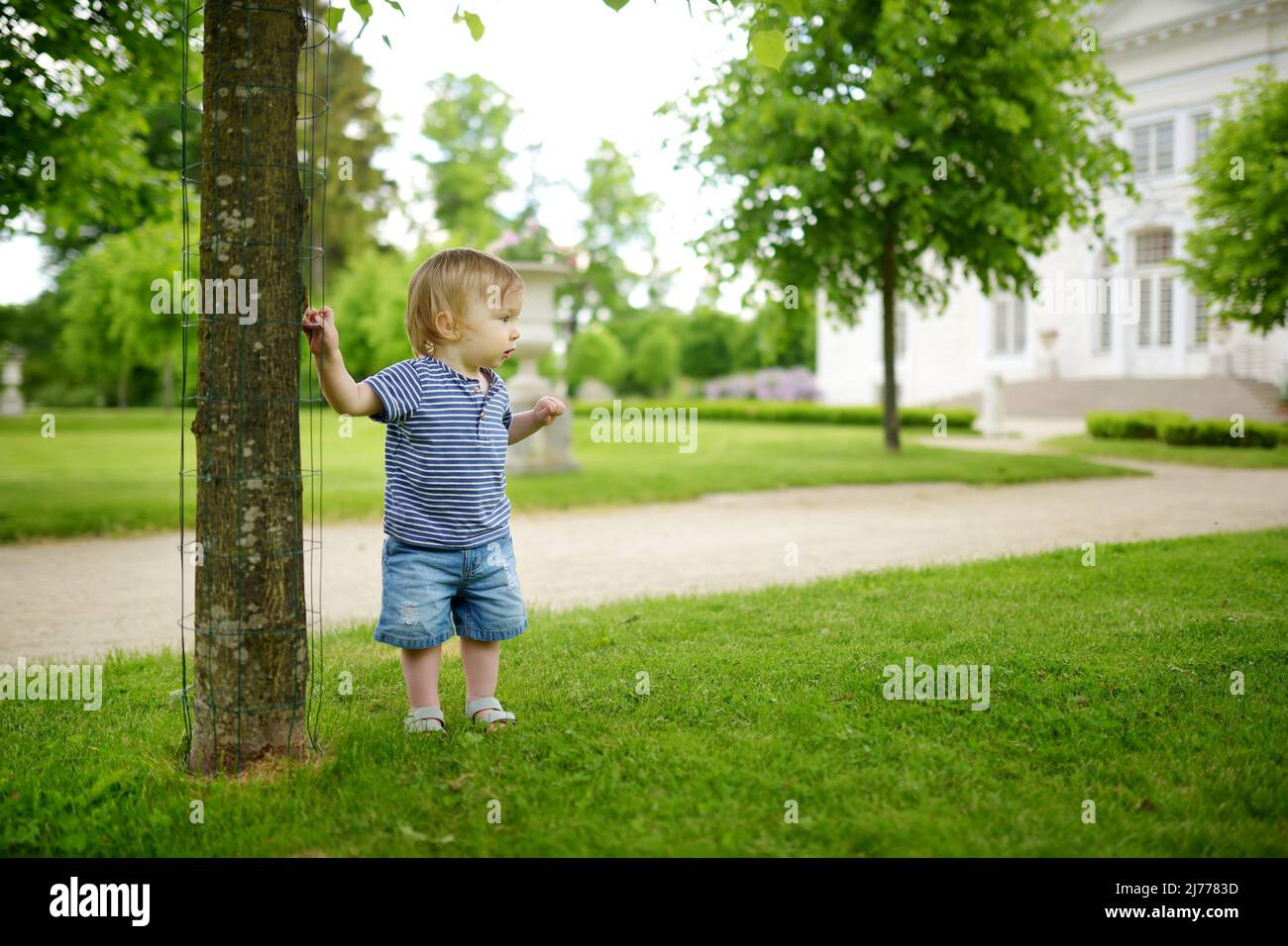 Funny toddler boy having fun outdoors on sunny summer day. Child ...