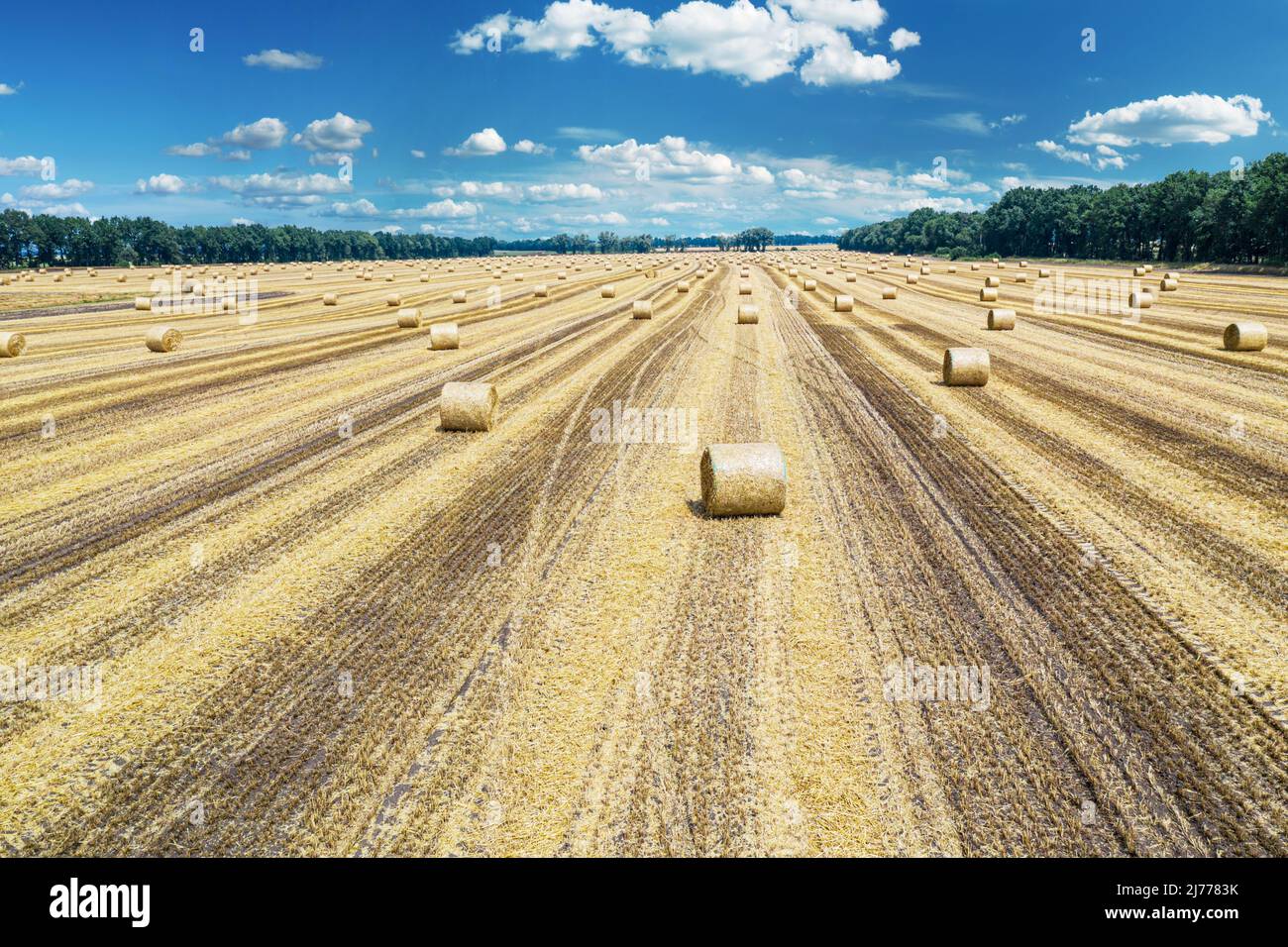 Aerial view of harvested wheat field and blue sky at the background ...
